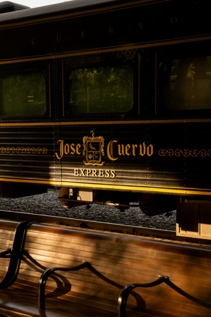 Jalisco Travel Guide: Tequila, Food, And Hidden Gems | TQM Tours